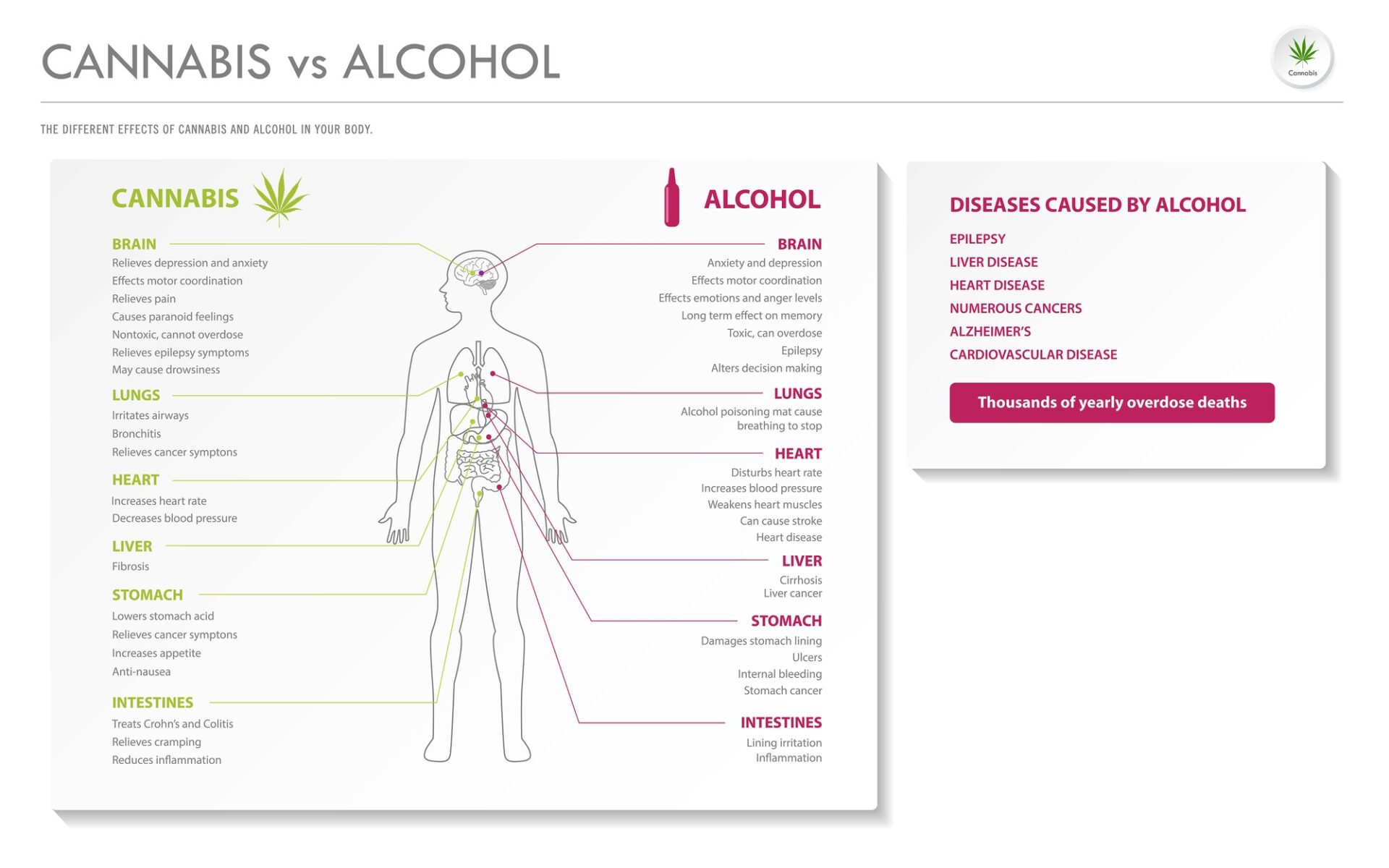 CBD and Alcohol | Cannalogue